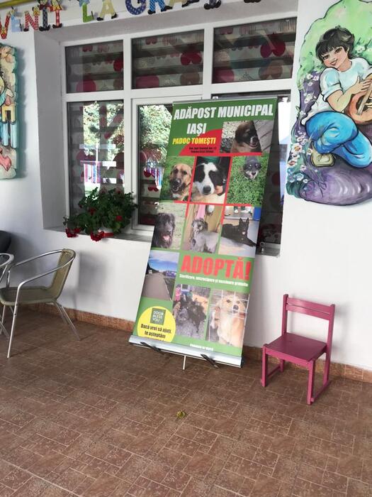 „Ziua Mondială a Animalelor” - Activitate Extracurriculară :: Grădinița ...